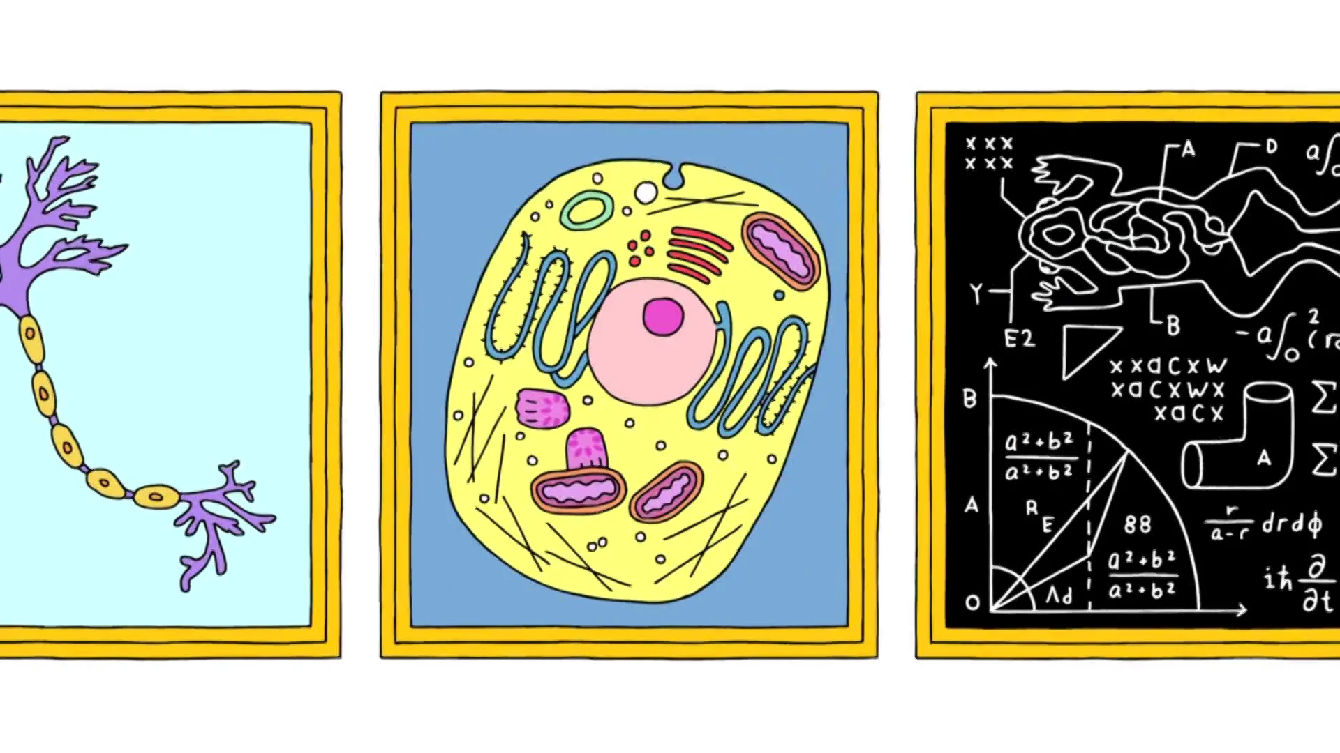 The wacky history of cell theory - Lauren Royal-Woods