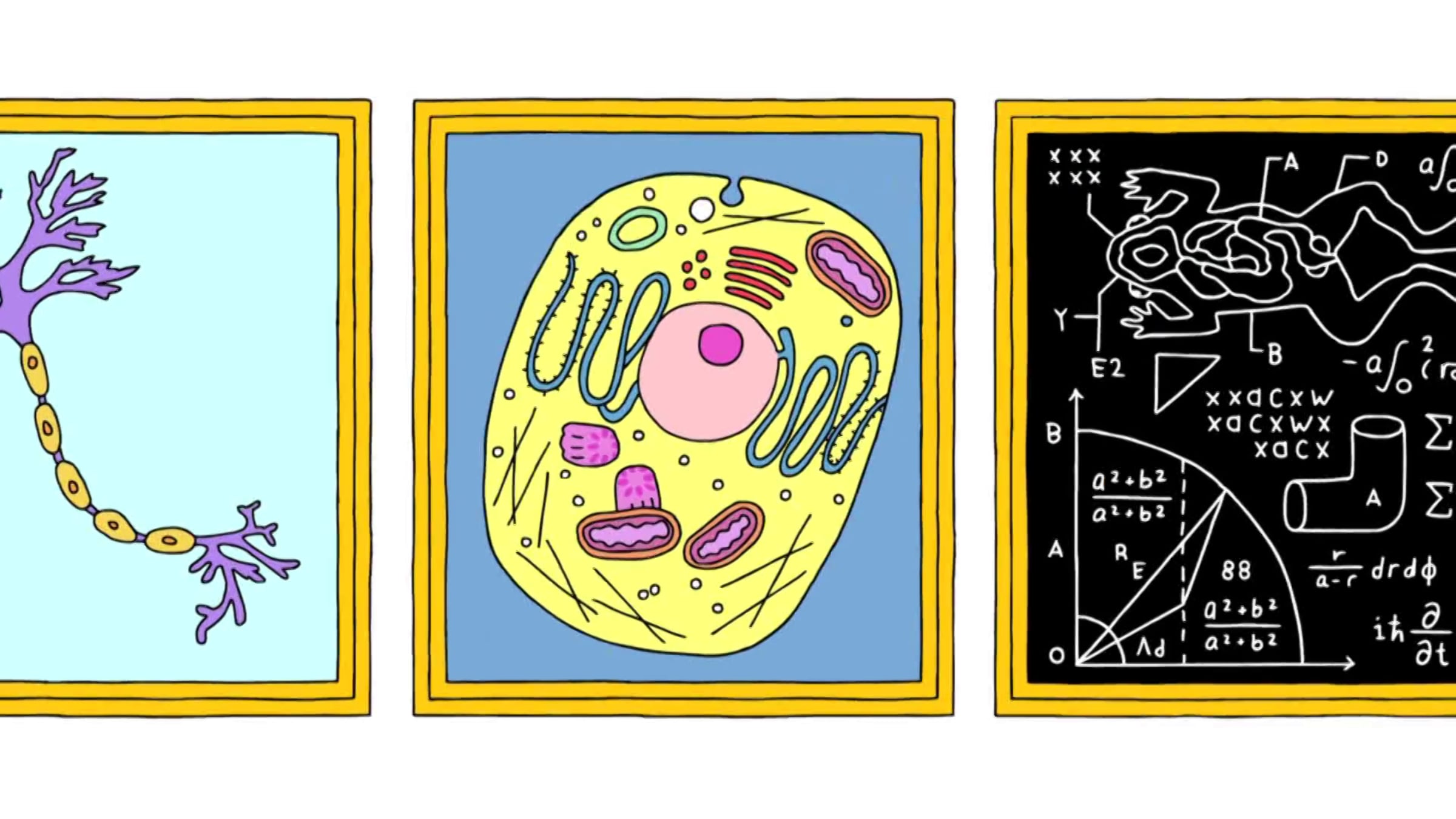 The wacky history of cell theory - Lauren Royal-Woods