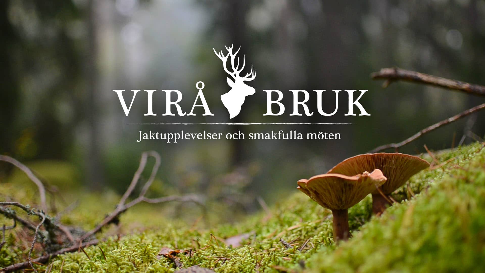 Virå Bruk on Vimeo