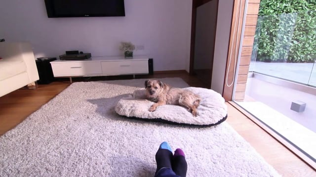 DCM PRODUCTION COSTS - Direct Line 'How To Photograph Your Pet' on Vimeo
