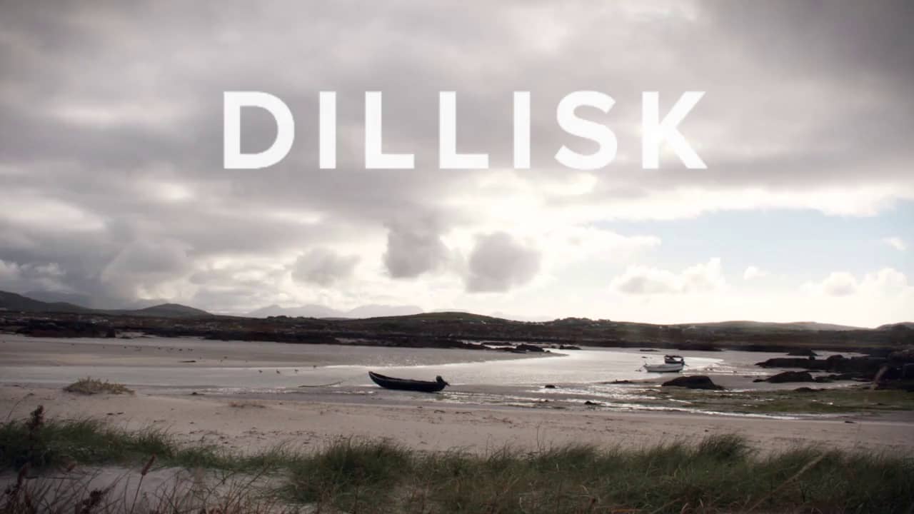 Dillisk_V1 on Vimeo