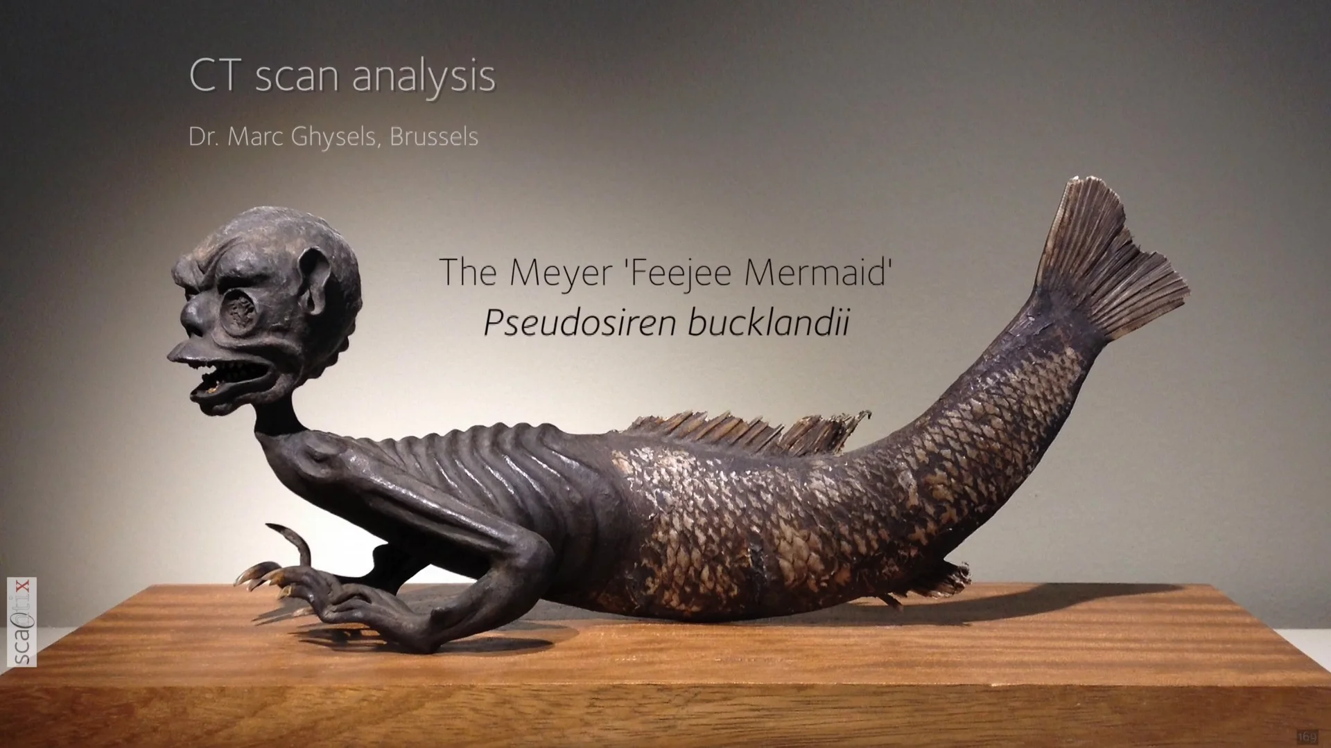 CT-scan of a 'Feejee Mermaid' on Vimeo