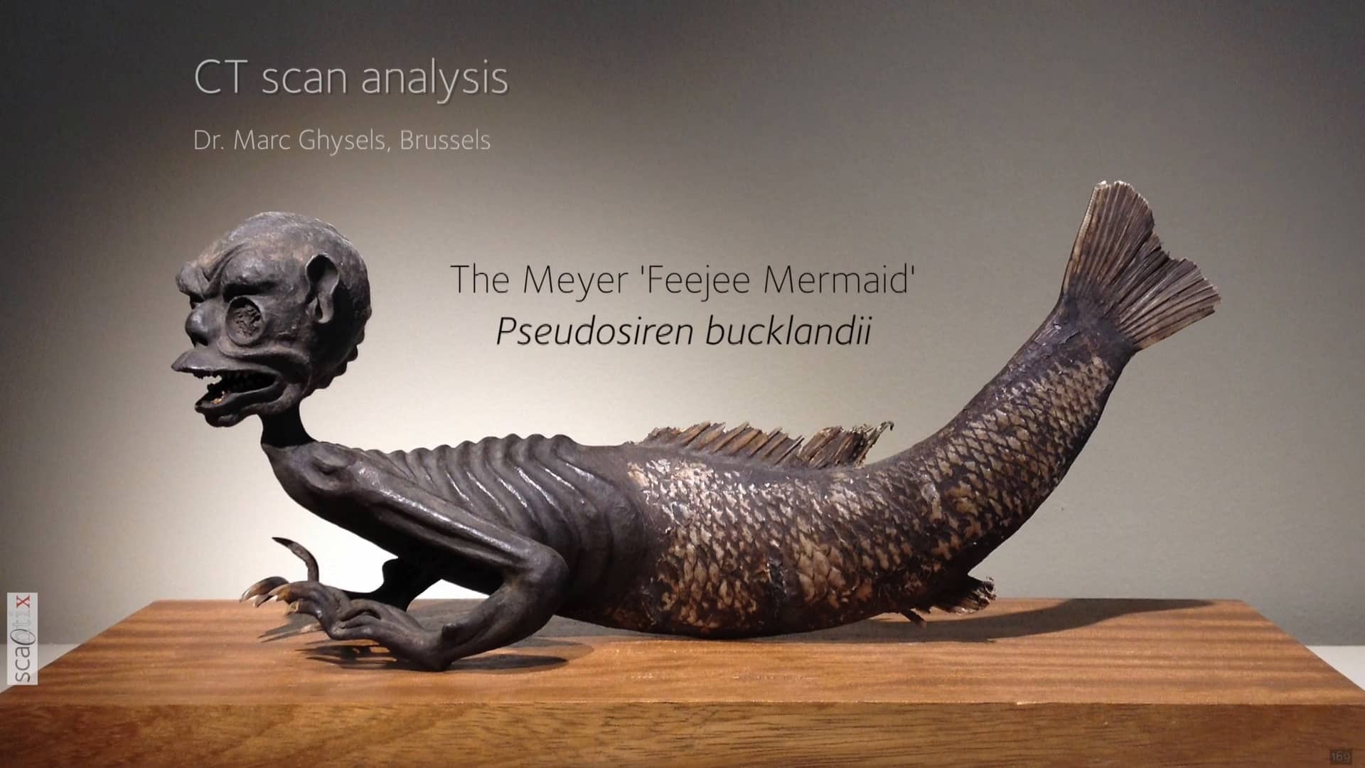 CT-scan of a 'Feejee Mermaid' on Vimeo