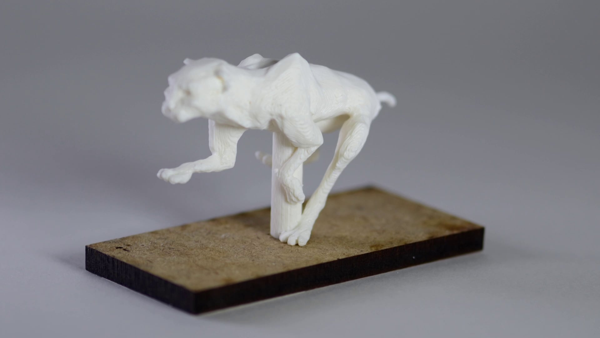 3D Printed Quadruped Run Cycle on Vimeo