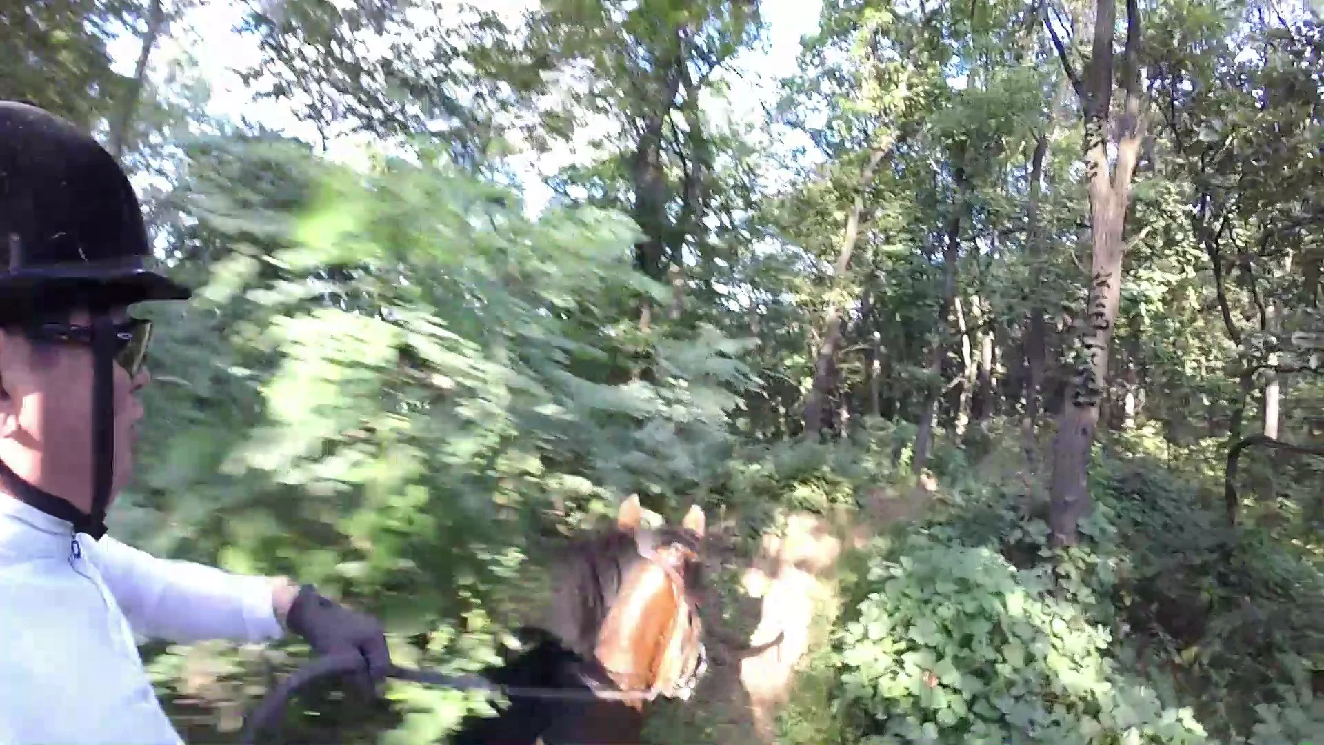 horse-riding with GoPro on Vimeo