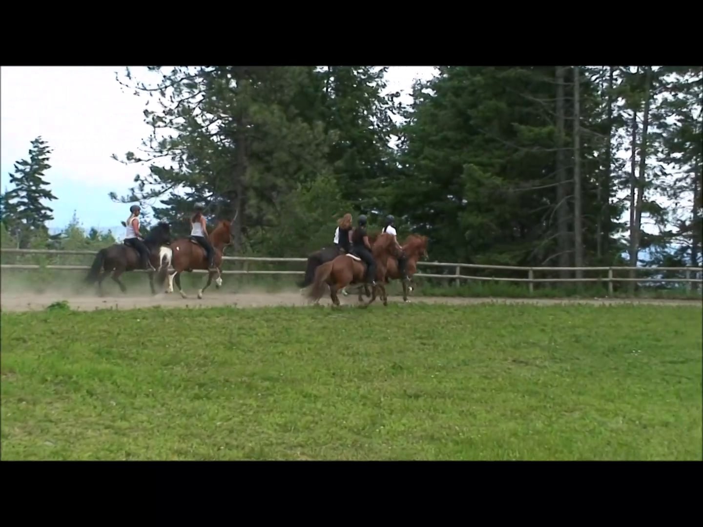 flugar offspring2 on Vimeo