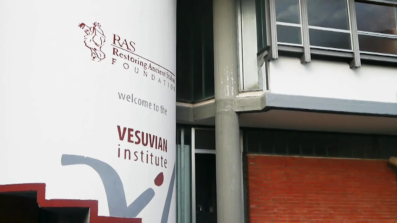 Steve Simpson Illustration Campus at Vesuvian Institute