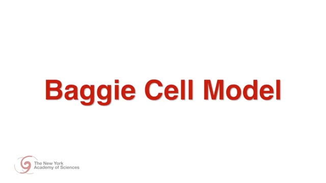 2 - Baggie Cell Model on Vimeo