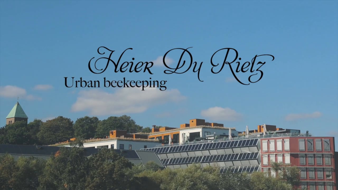 Heier Du Rietz - Urban Beekeeping on Vimeo