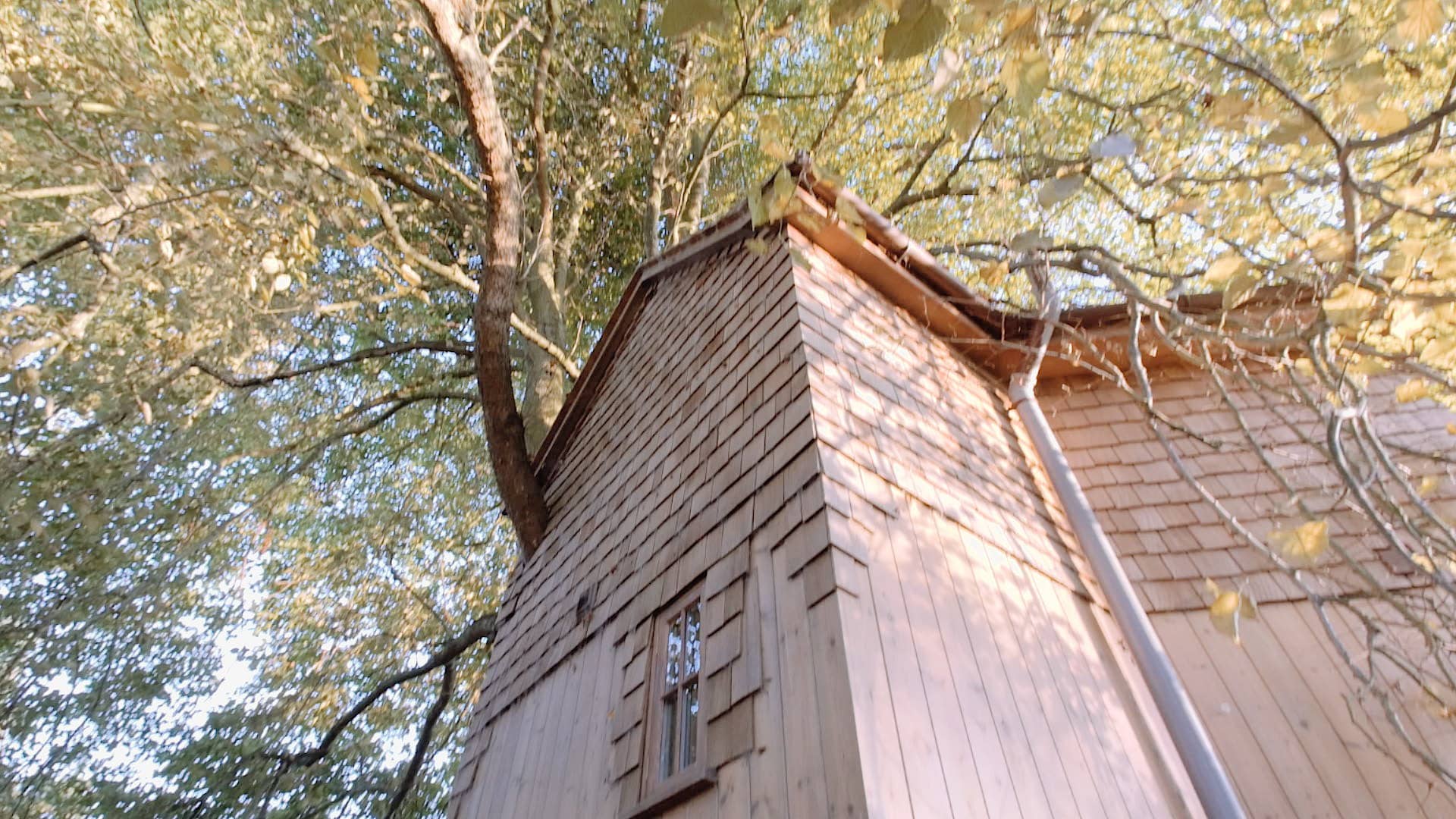 The Treehouse | Lavender Hill Holidays on Vimeo