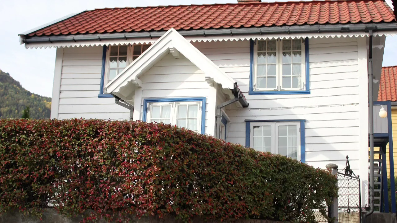 Syng Meg Heim on Vimeo