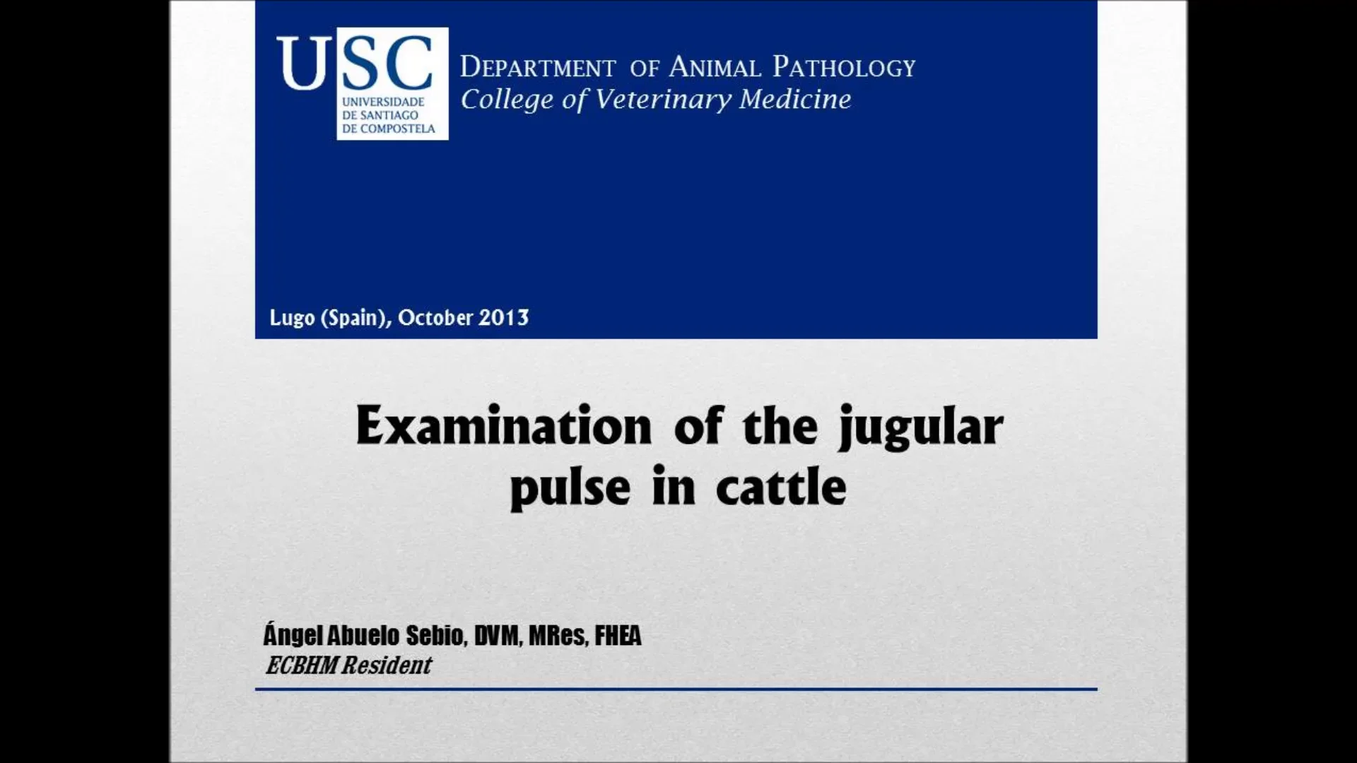 Examination of the jugular pulse in cattle