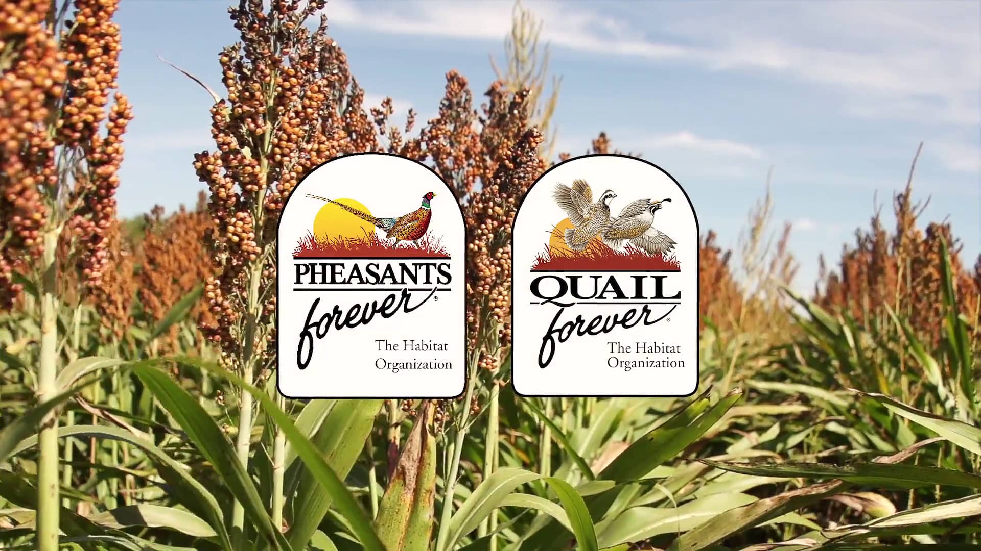 Pheasants Forever Quail Forever Youth Event Johnson County Chapter on Vimeo