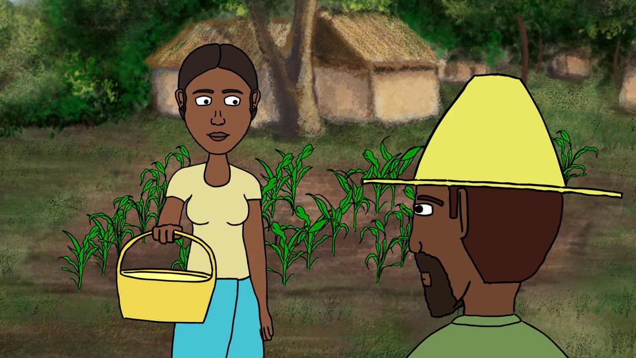 Good agricultural practices for maize animation on Vimeo