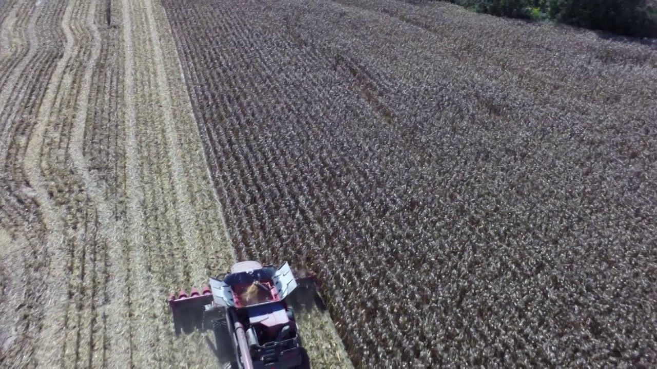 Rubenacker Farms on Vimeo