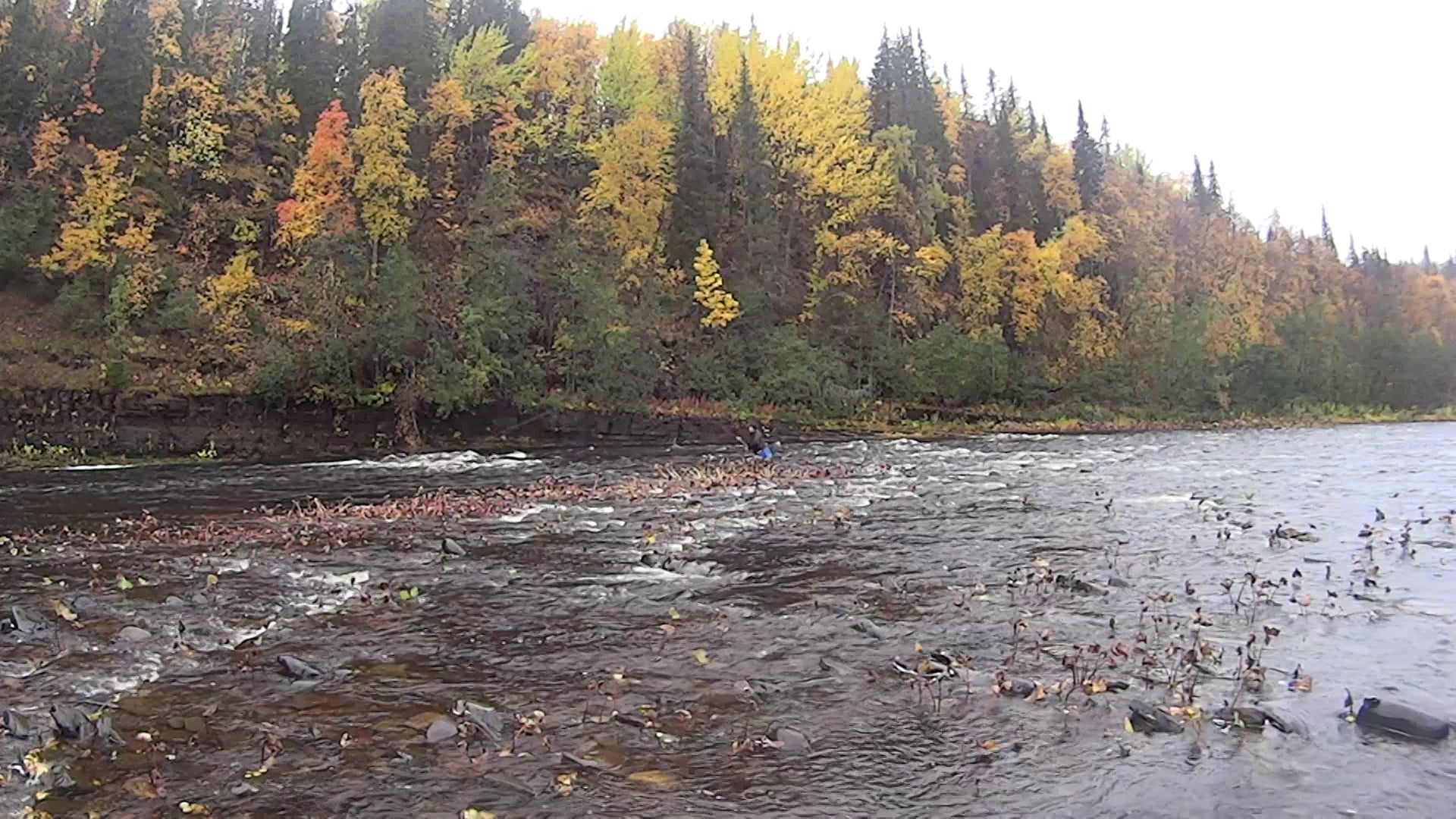 Fly fishing on Vimeo