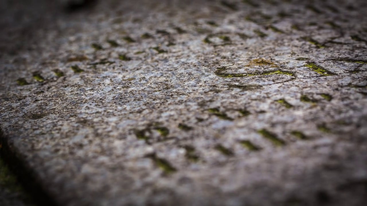 Mortualia on Vimeo