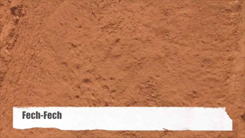 Fech fech.mp4 on Vimeo