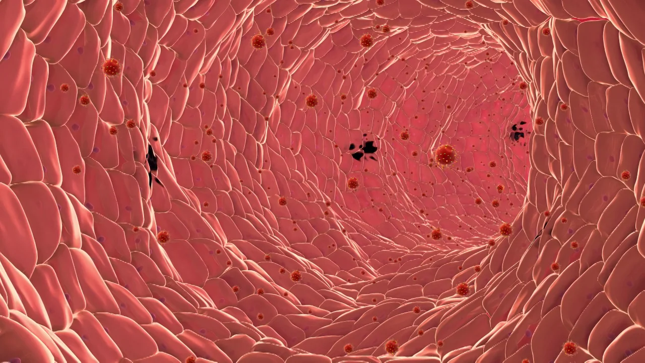 Alan Barbier Demoreel on Vimeo