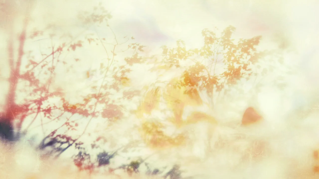 In A Room - Adrian Verdejo & Rodney Sharman on Vimeo