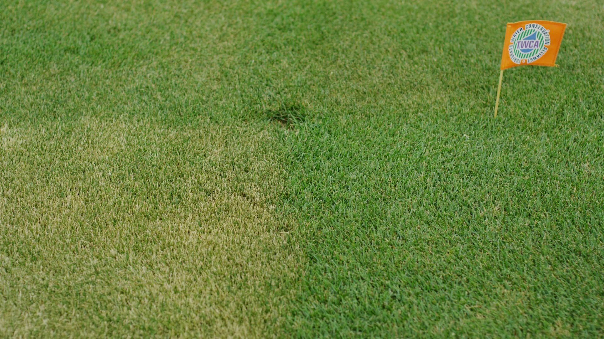 Turfgrass Water Conservation Alliance