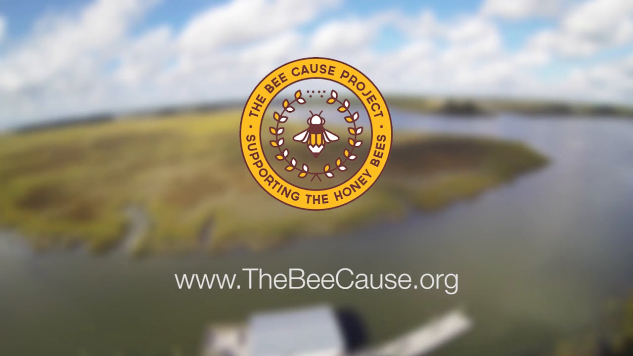 Savannah Bee Company -The Bee Cause Project on Vimeo