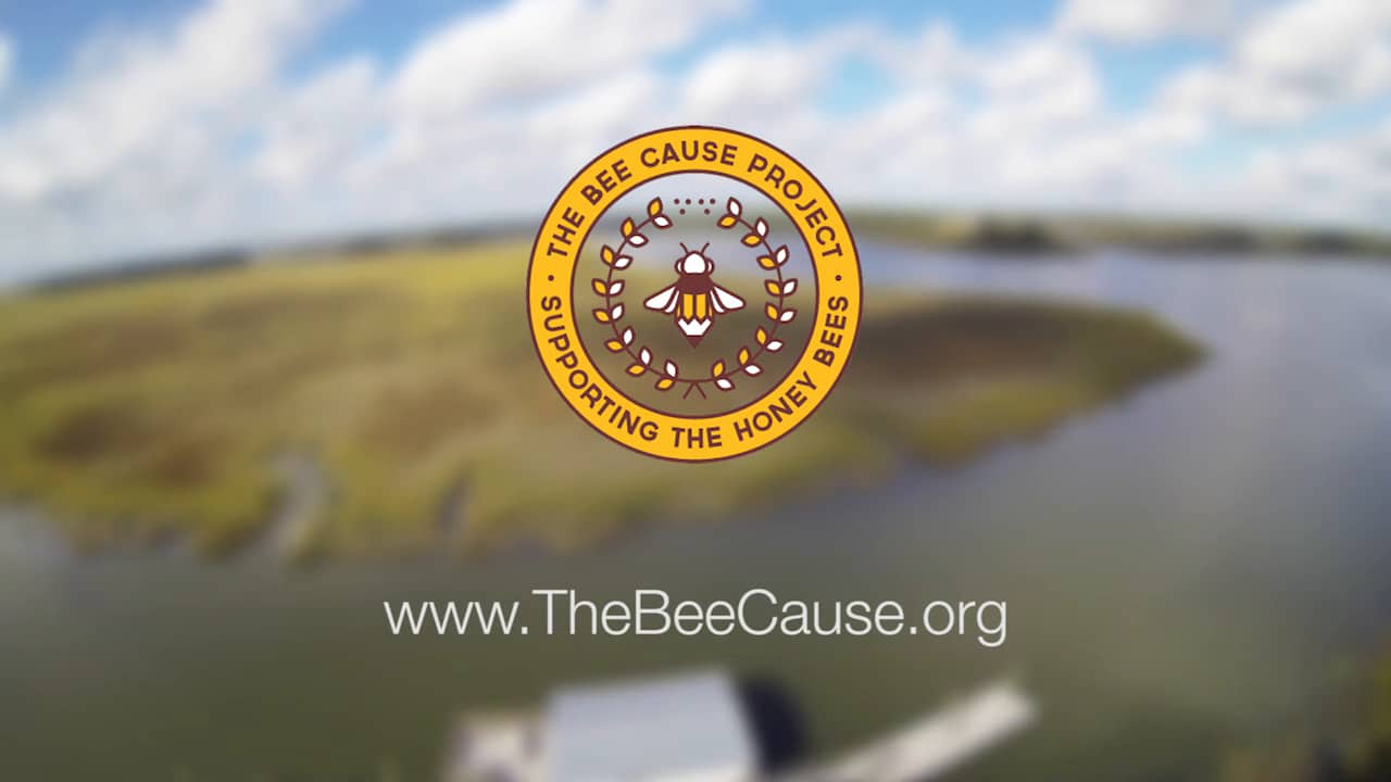 Savannah Bee Company -The Bee Cause Project on Vimeo