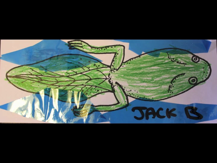 Tadpole Blues on Vimeo