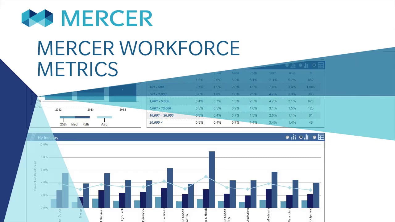 Mercer Workforce Metrics Demo on Vimeo