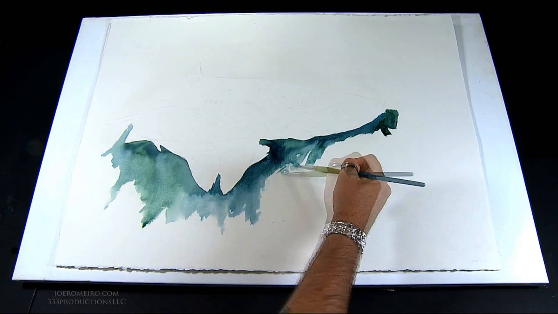 Paul McPhee- marine life artist on Vimeo