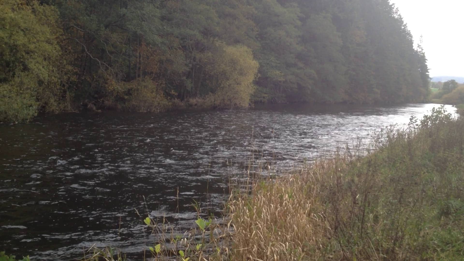 Tweed at the Railroad Bridge in Peebles on Vimeo