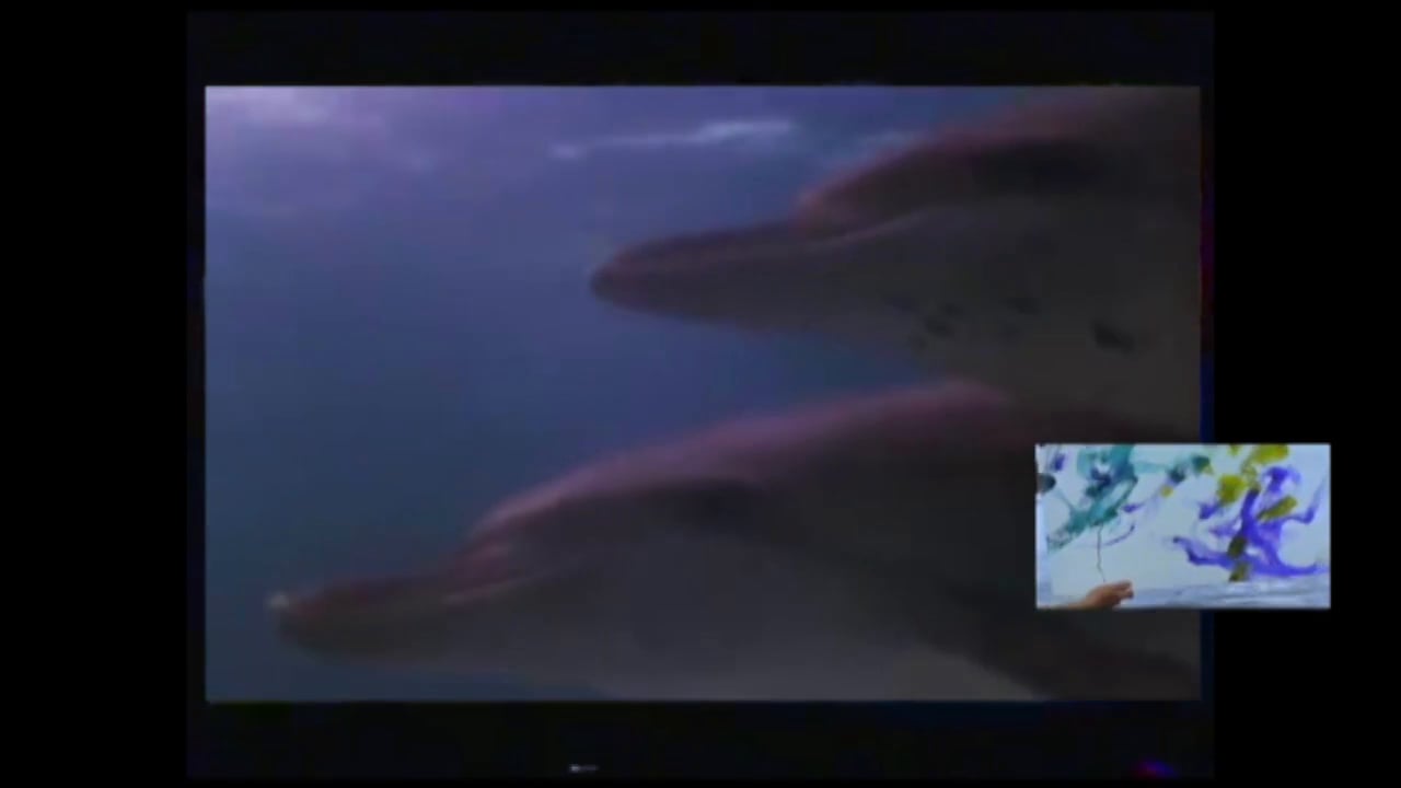 Davida Loca - B U on Vimeo