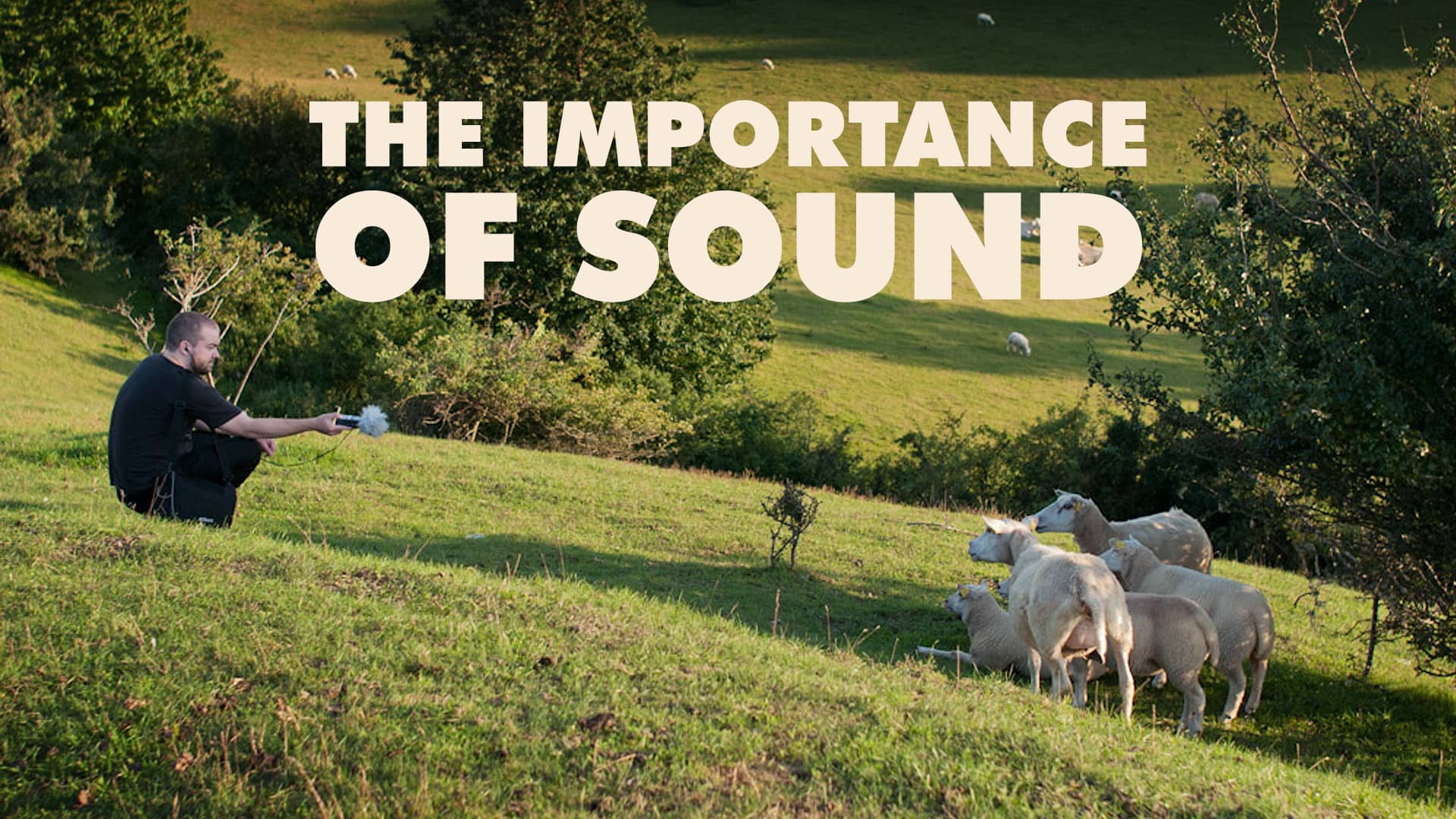 The Importance of Sound on Vimeo