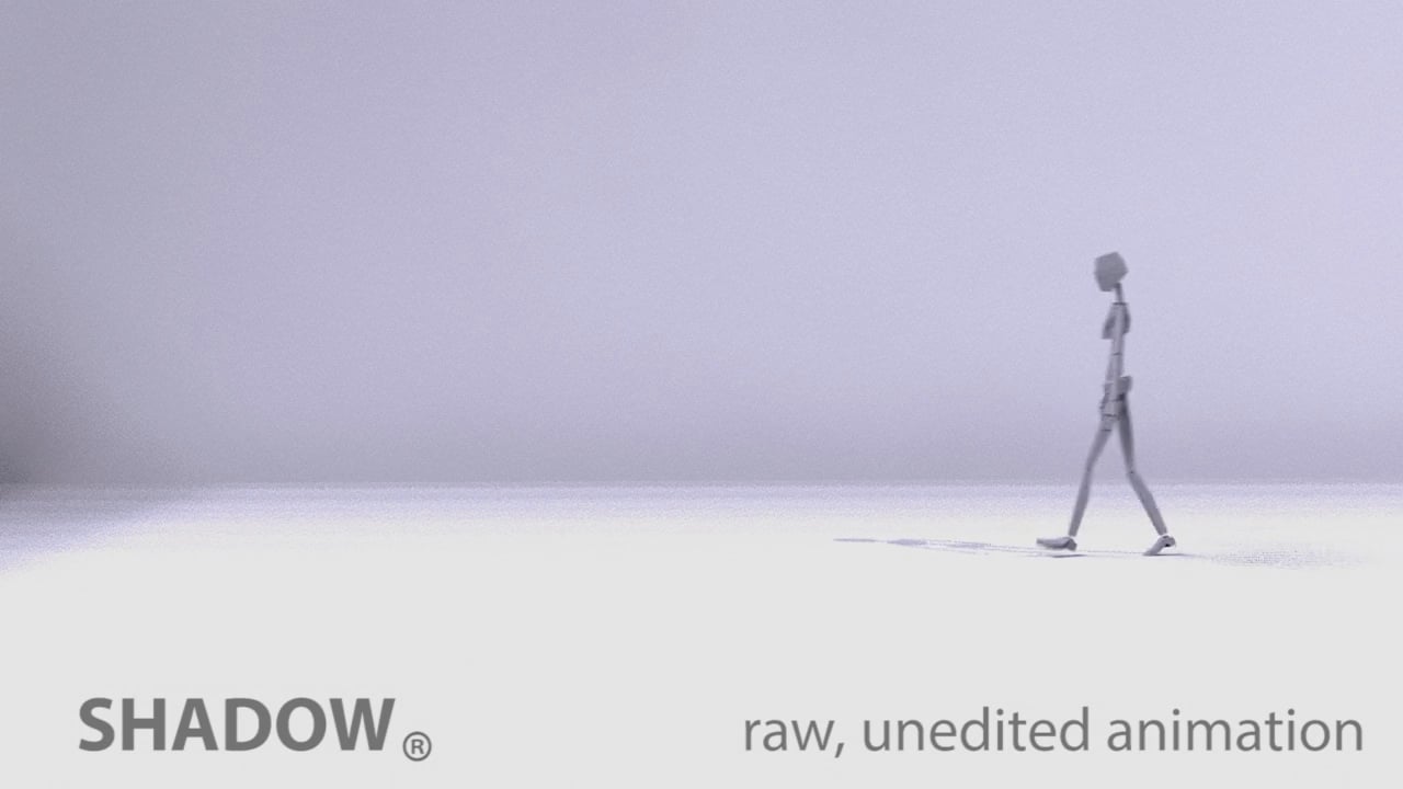 Shadow Motion Capture : Walk Cycle on Vimeo