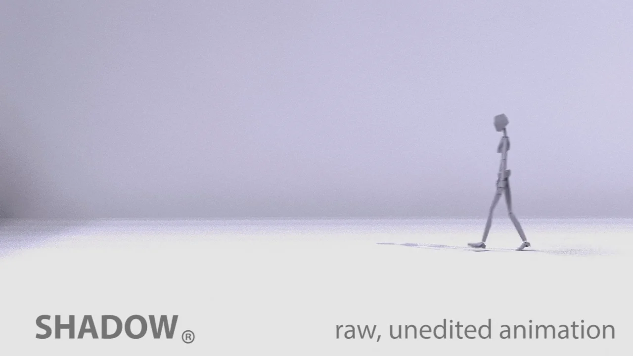 Shadow Motion Capture : Walk Cycle on Vimeo