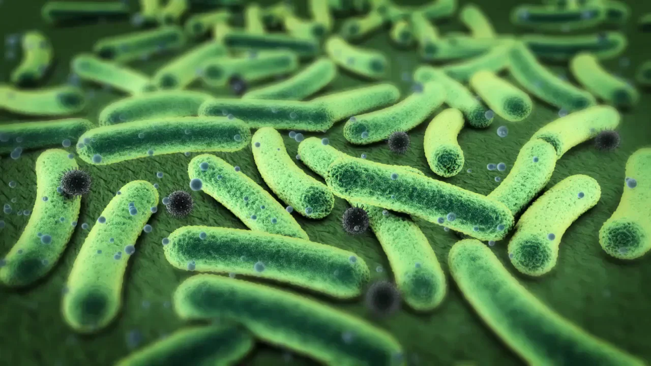 trophon EPR - How it works on Vimeo