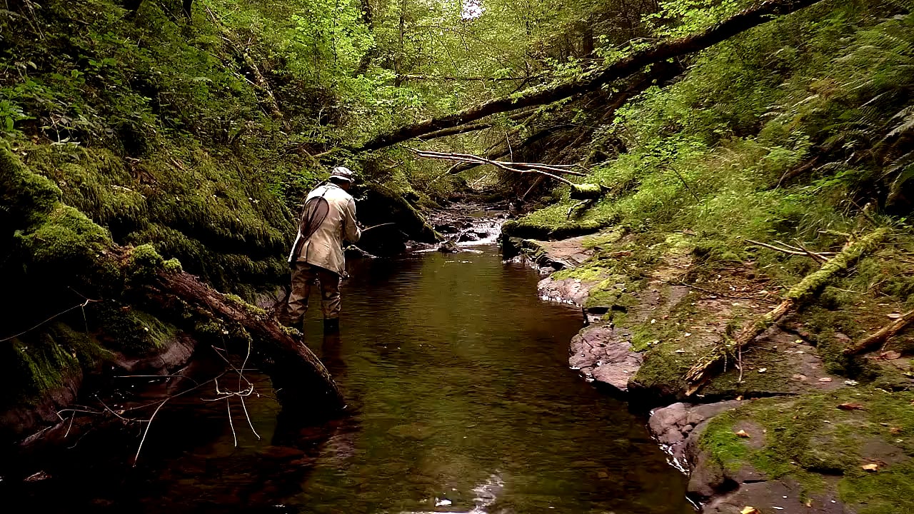 Flyfishing a small stream in low water on Vimeo
