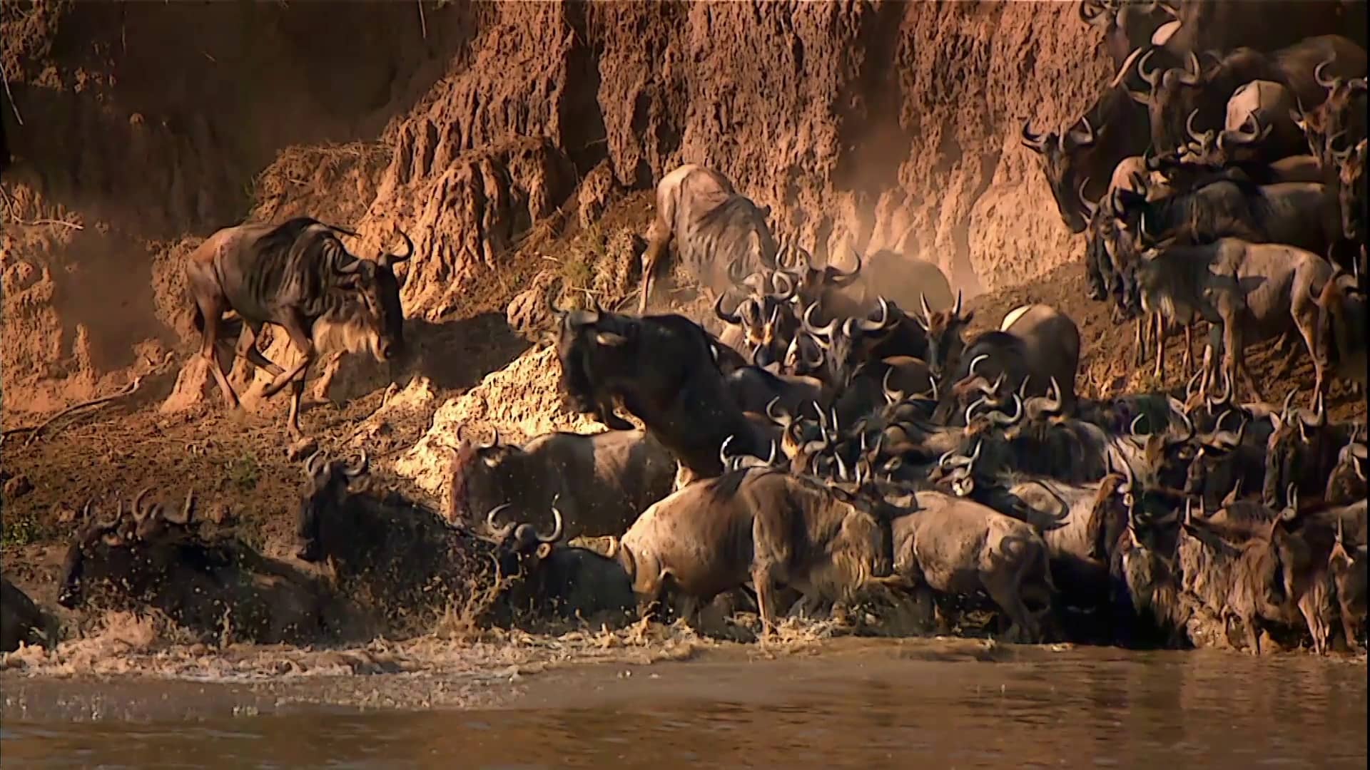 Submit Your Film to the Second Annual Wild to Inspire Short Film ...