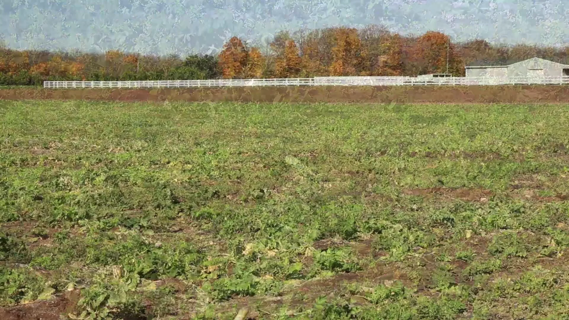 Macatawa Watershed Farm Tour