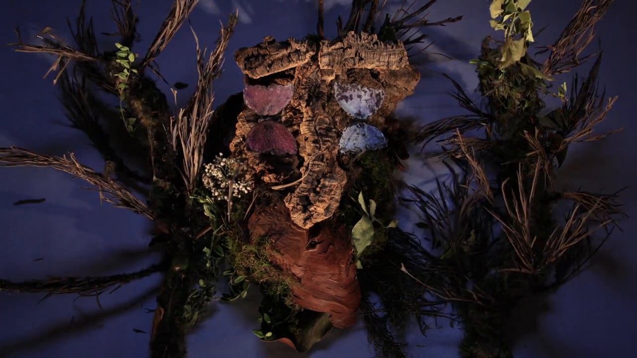 STAREWITCH / "Metamorfosis" CCCB de Barcelona / BAU Escola Superior de ...