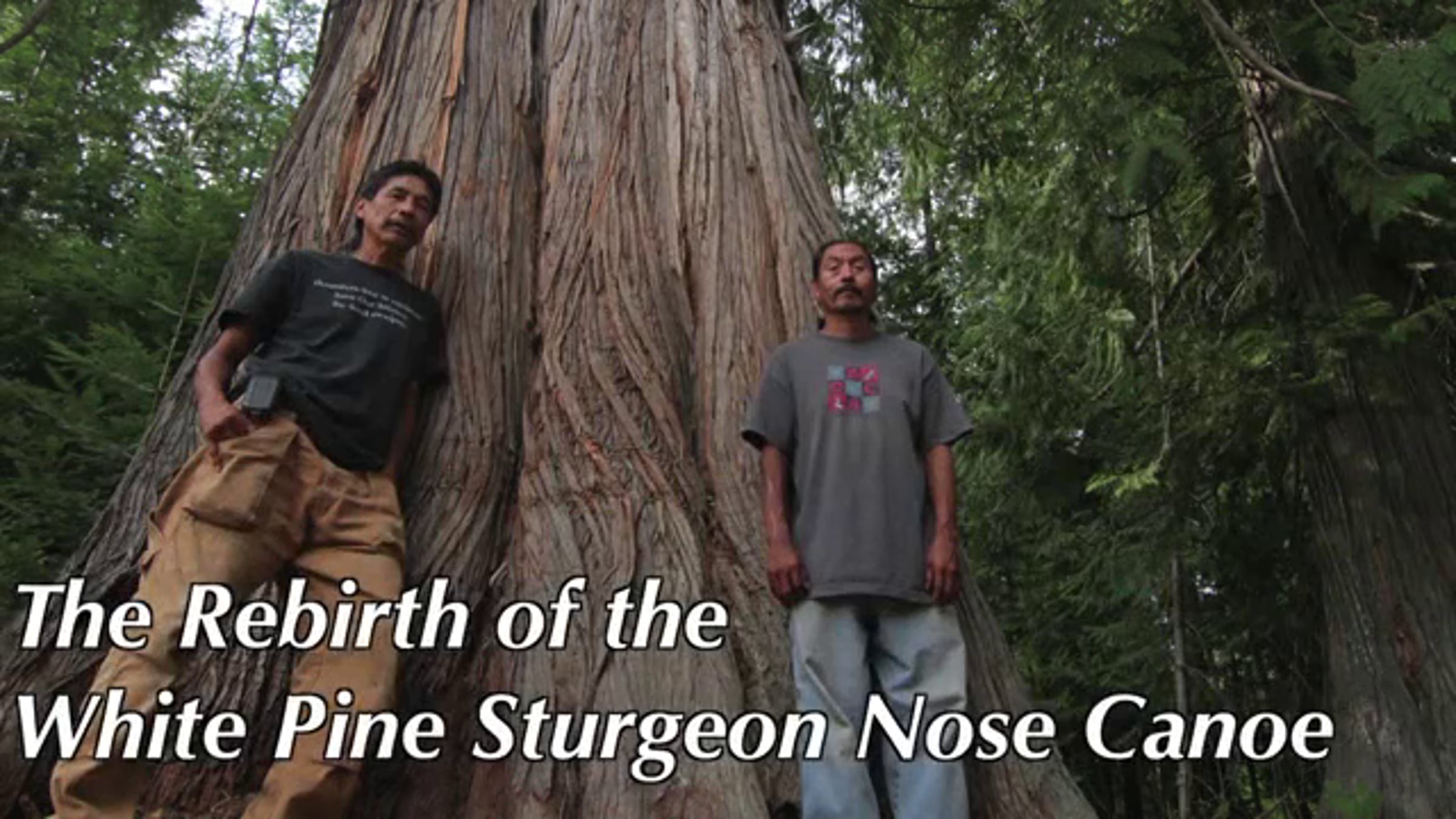The Rebirth of the White Pine Sturgeon Nose Canoe