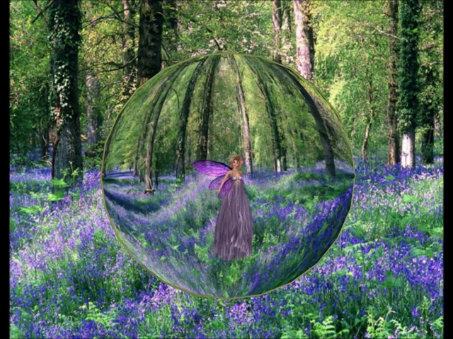 Violet on Vimeo