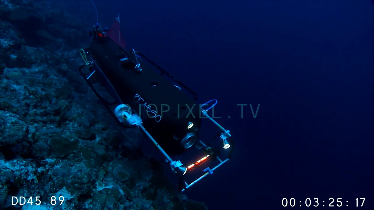 Deep Sea - JAMSTEC ROV Picasso in coral sea on Vimeo