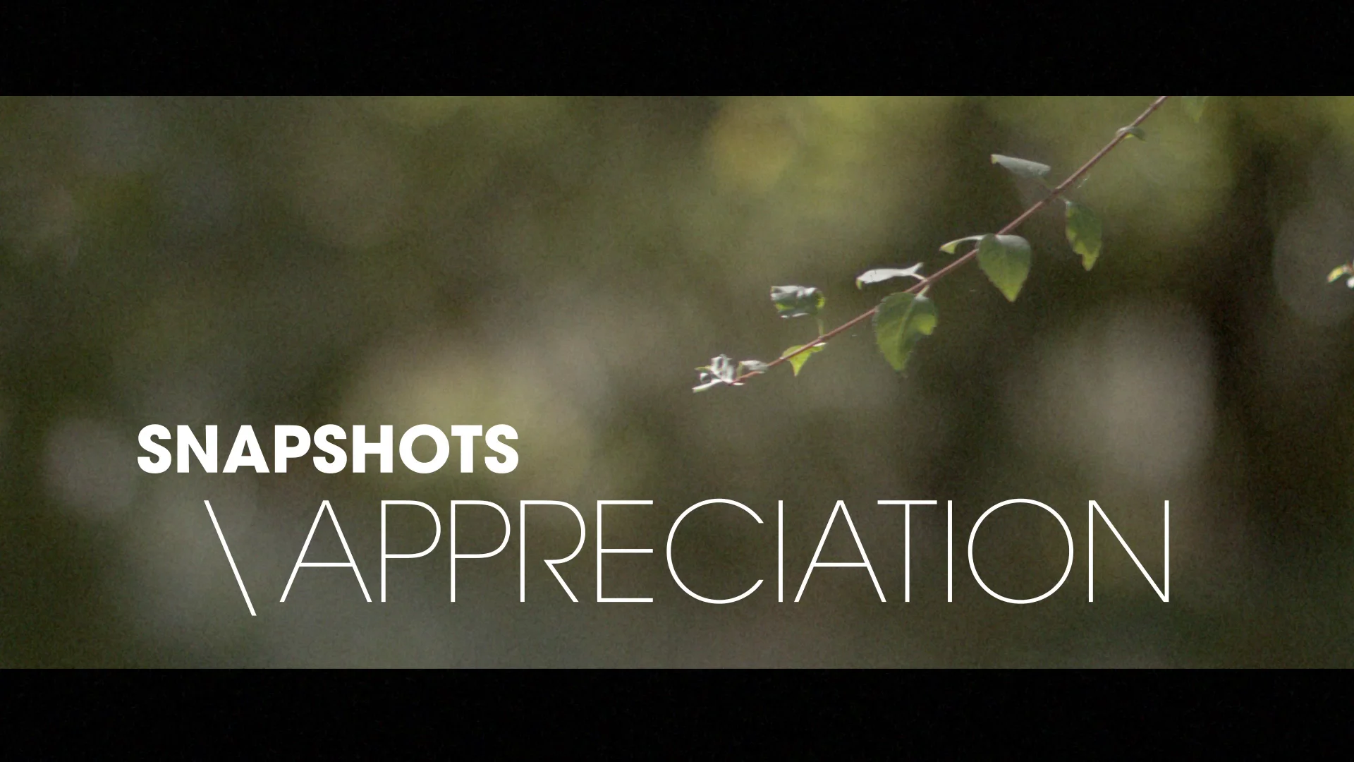 Foster Care Film Snapshots: Exavier Pope on Appreciation on Vimeo