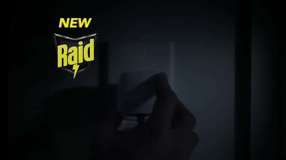 Raid :: Kills bugs dead on Vimeo