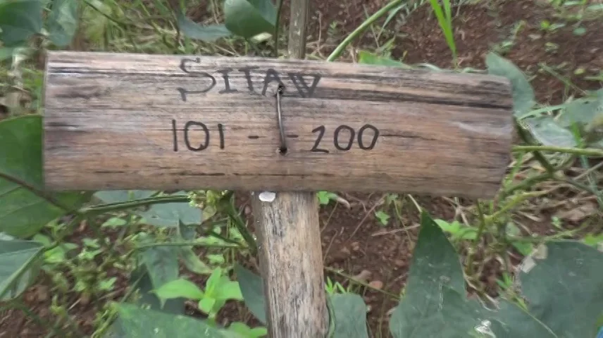 Sitao #101 to #200 (Nov. 05, 2014)