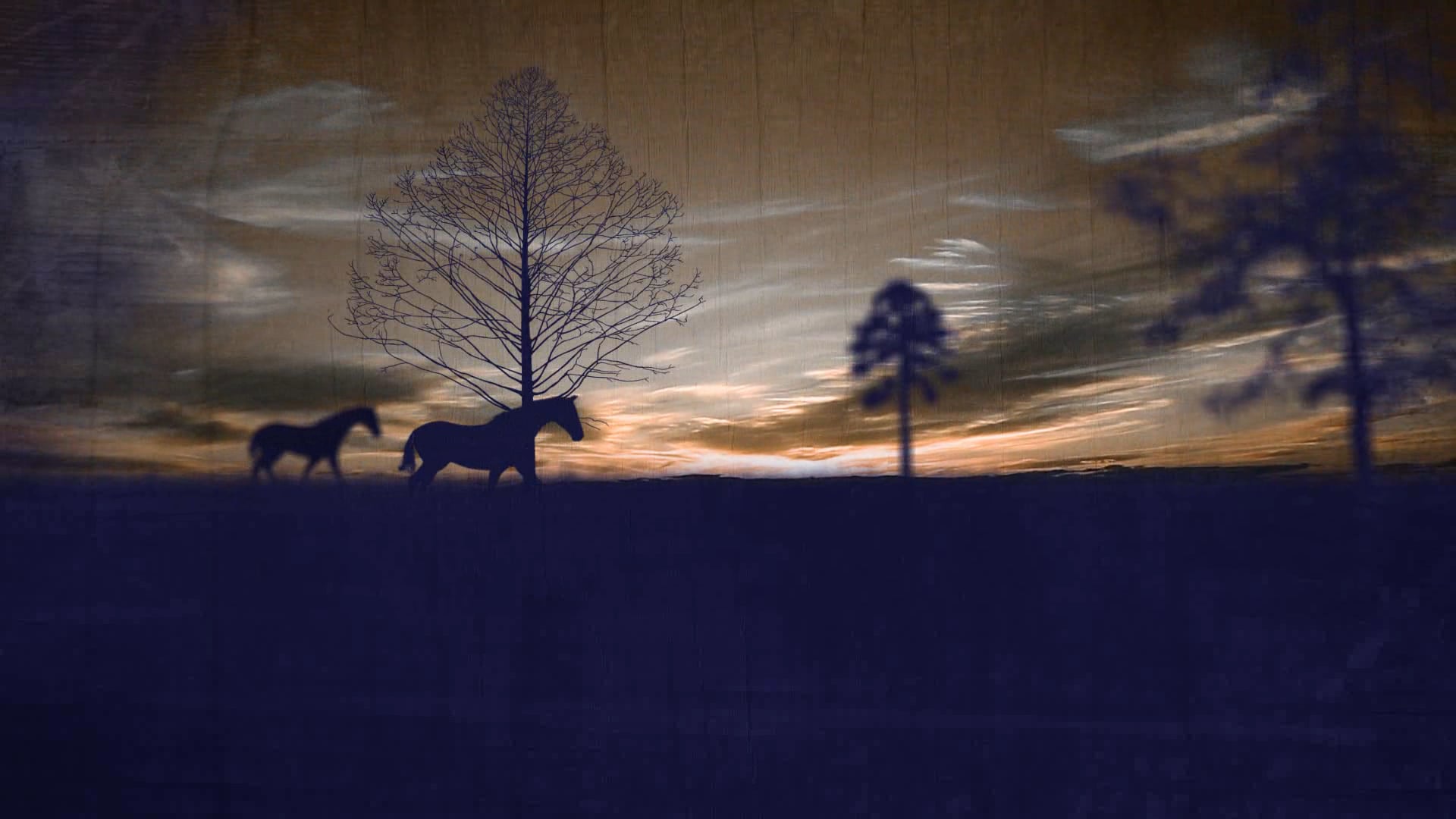 Tryon Resort and International Equestrian Center on Vimeo