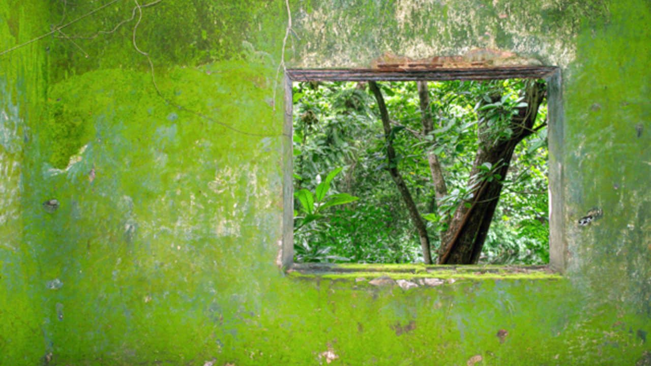 Les bagnes de Poulo-Condore / Poulo Condor convict prison on Vimeo