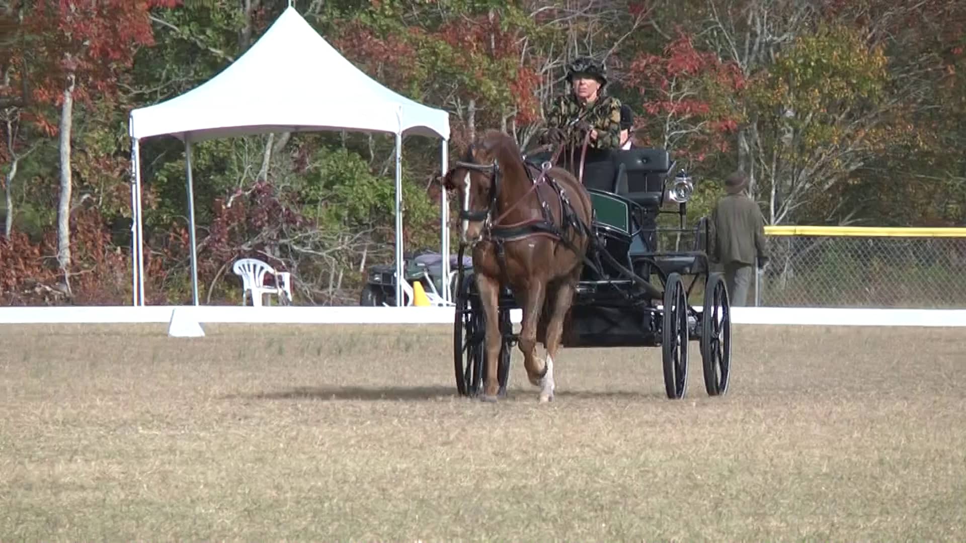 11-5-2011 Cheryl Pratt Rivers Dressage on Vimeo