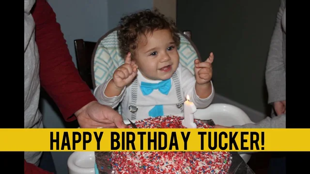 Happy Birthday Tucker on Vimeo